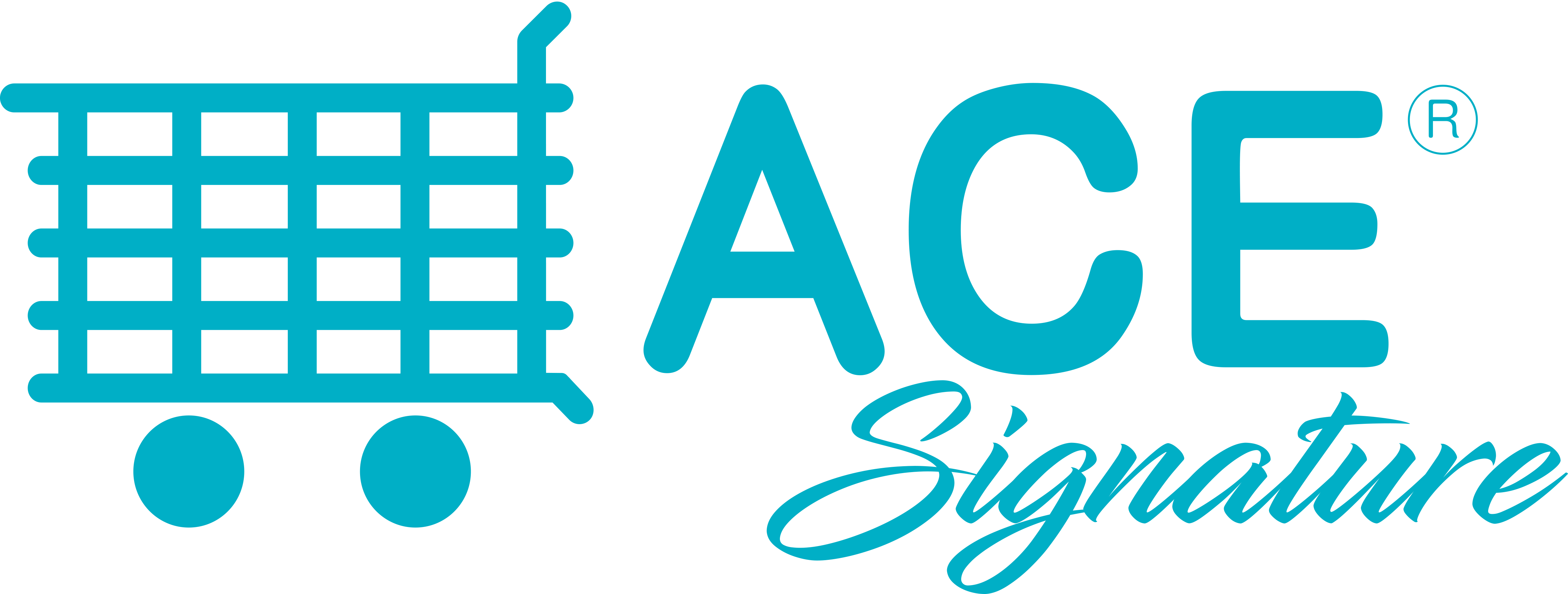 goodjobs: Employer Detail - ACE Dynamic | goodjobs